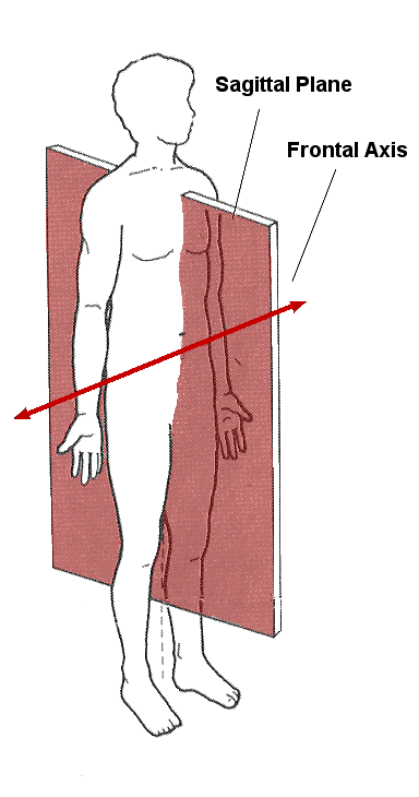Frontal Axis Frontal Axis